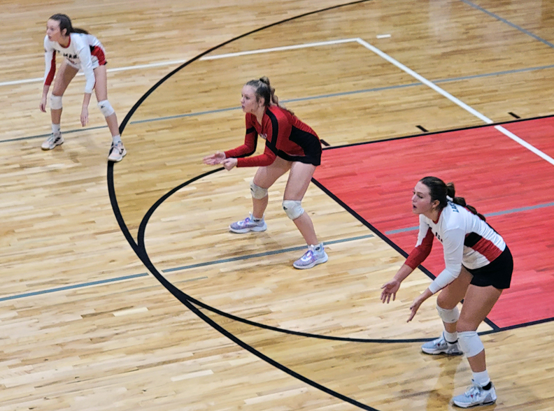 Cardinal Volleyball Falls at Home to Sharks - Dell Rapids St Mary Cardinals
